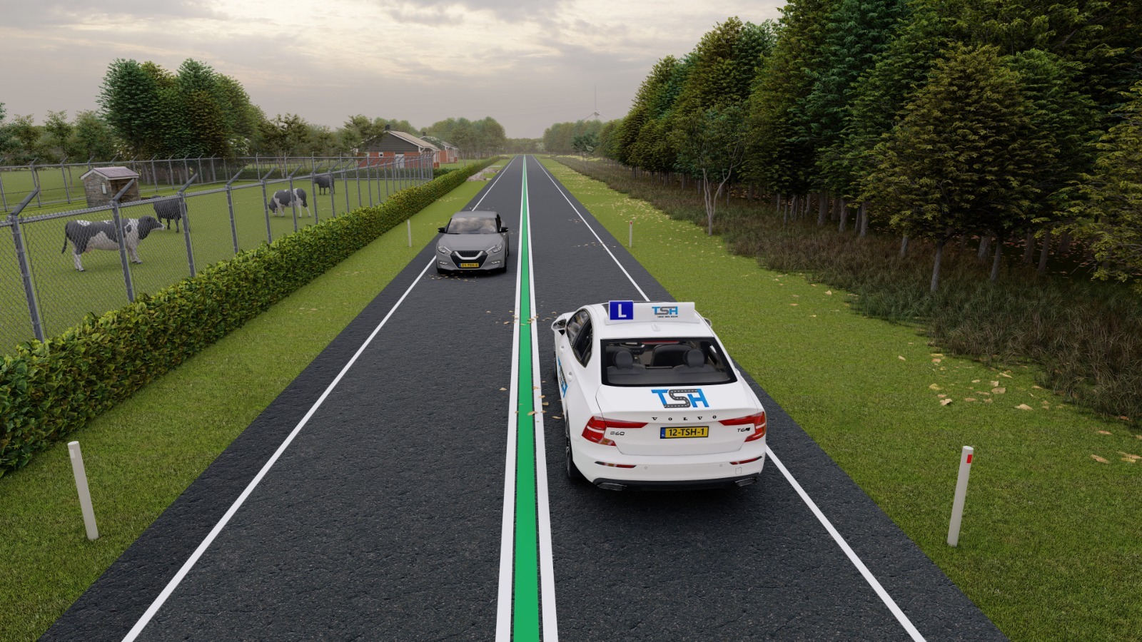 Autosnelweg & Autoweg: Regels, Snelheden en Onderscheid