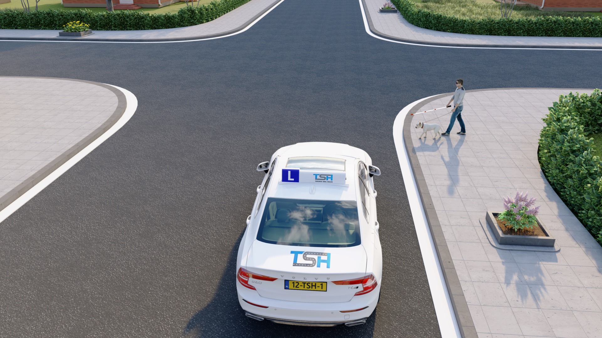 Voorrangsregels Voetgangers: Kruispunten, Erven en Haltes